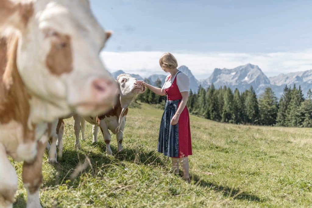 Alpine Pearls: Climate-friendly holidays in the mountains ...