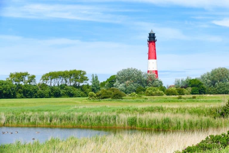 A visit to the greenest island in the North Sea: Pellworm